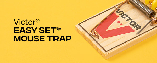 VictorPest: Building a Rodent-Proof Perimeter? | Milled